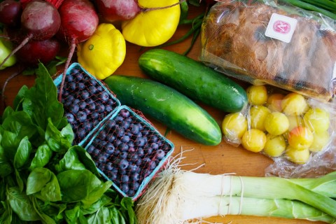 About Polly Castor | Polly Castor