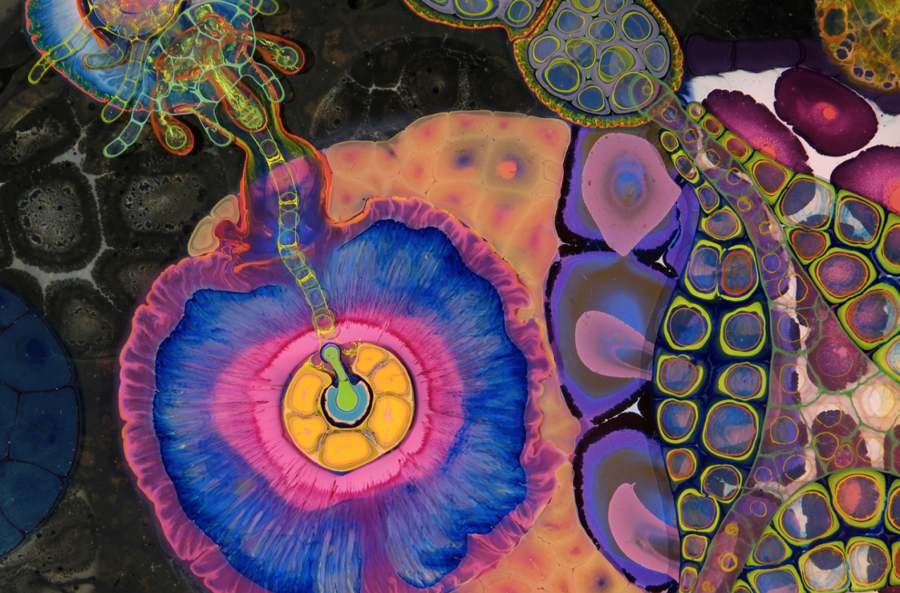 Featured Artist: Bruce Riley | Polly Castor