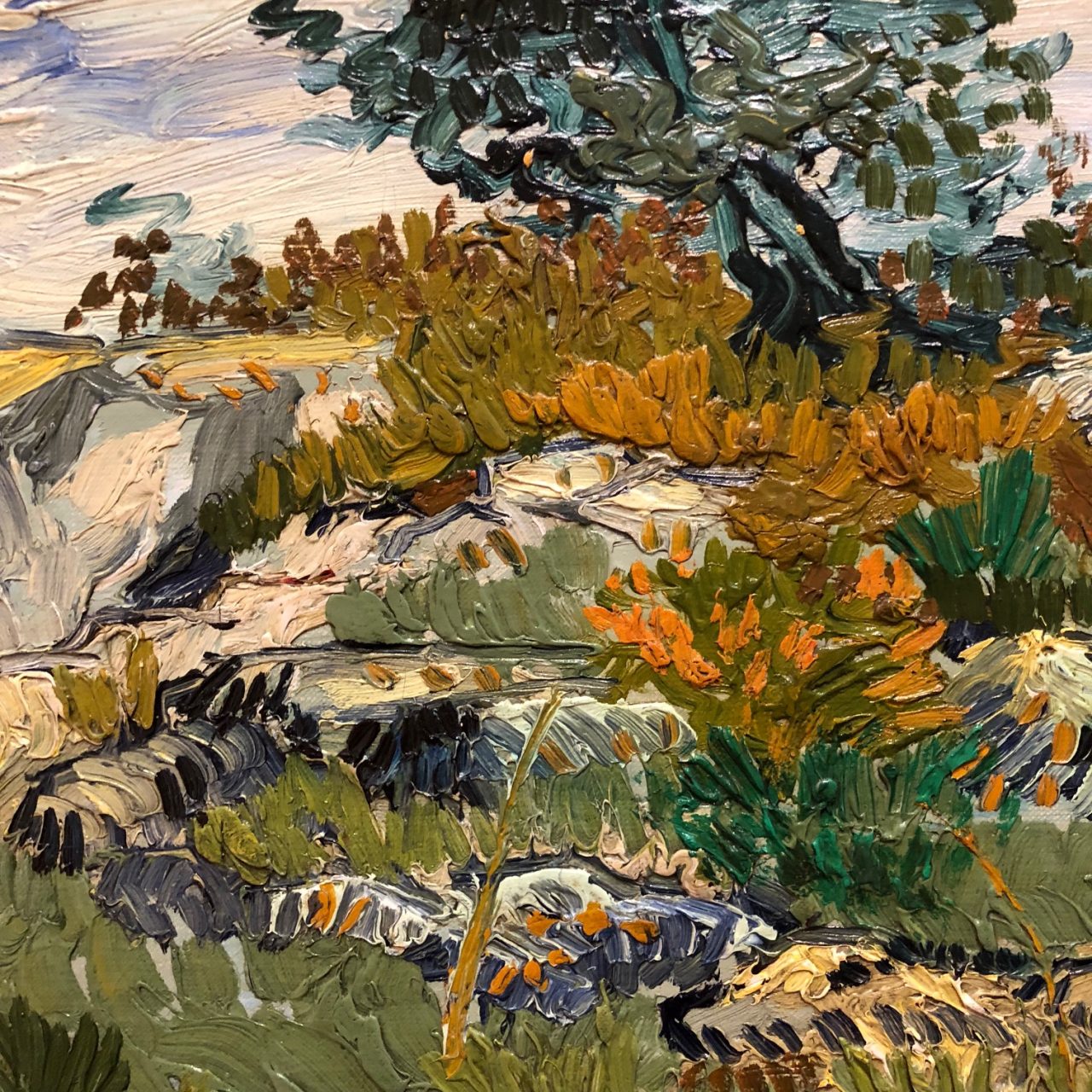 Close-up Details of Van Gogh's Painting "The Rocks" | Polly Castor