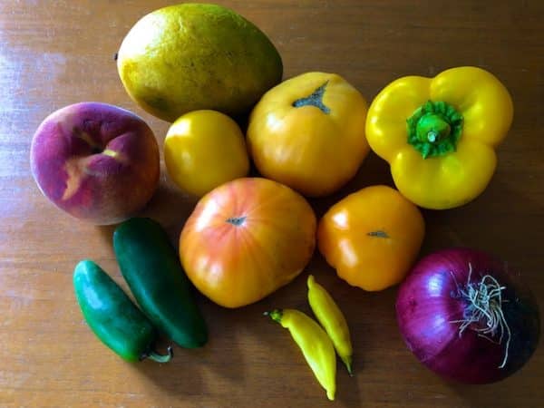 Fruity Yellow Tomato Salsa (Recipe) | Polly Castor