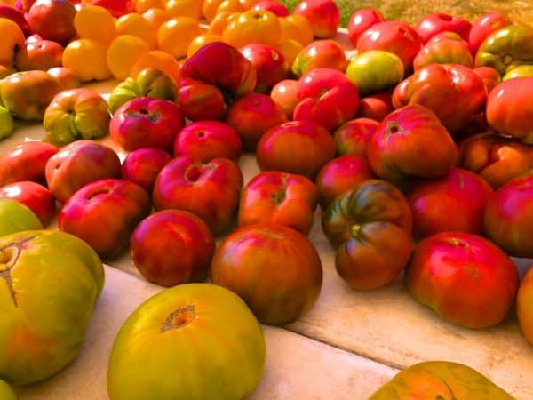 Tomatoes (Poem by J. Sullivan with Tomato Photos) | Polly Castor