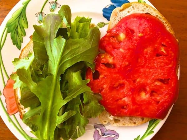 Tomatoes (Poem by J. Sullivan with Tomato Photos) | Polly Castor