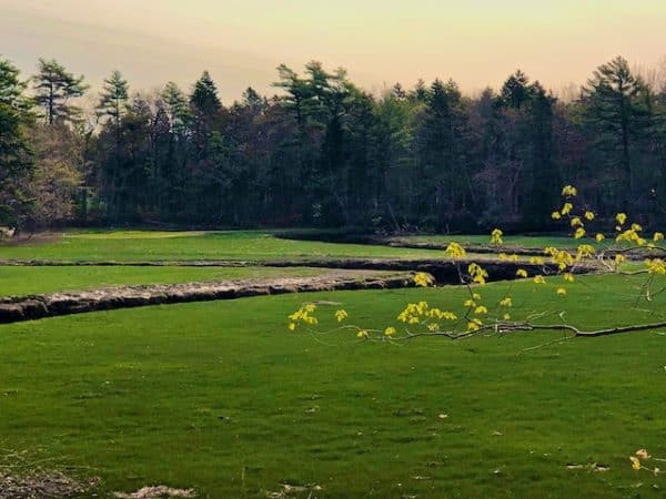 Walk at Rachel Carson Preserve (Photos) | Polly Castor