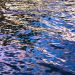 Water Flows (Poem by Margaret Atwood with Water Photos) | Polly Castor